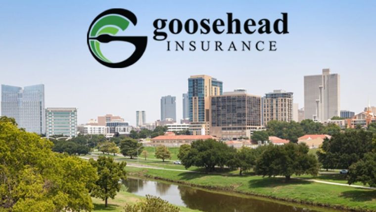 Goosehead Insurance Franchise | Invest In This Growth Opportunity